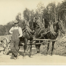 Maple Ridge Museum – Community — Past, Present and Future