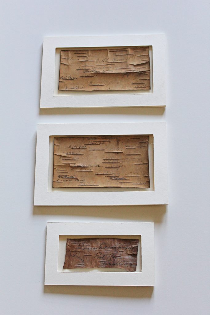 birch bark scrolls – Maple Ridge Museum