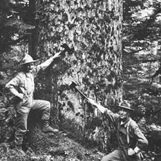 Maple Ridge Museum – Community — Past, Present and Future