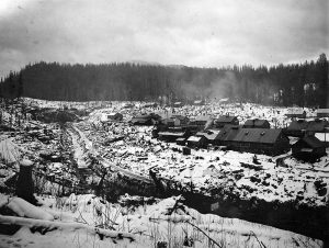 Stave Dam – Maple Ridge Museum