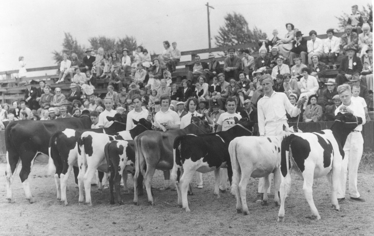 Memorial Peace Park – Maple Ridge Museum