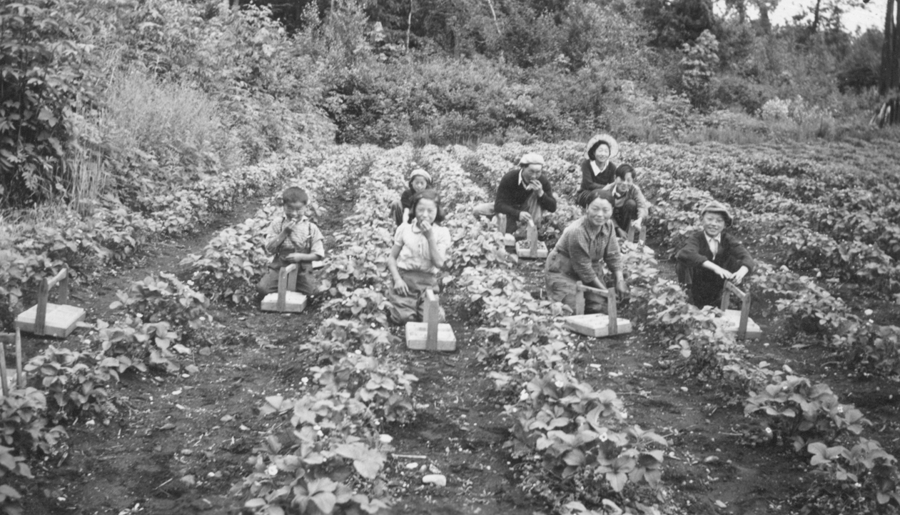 Temporary Exhibits – Maple Ridge Museum