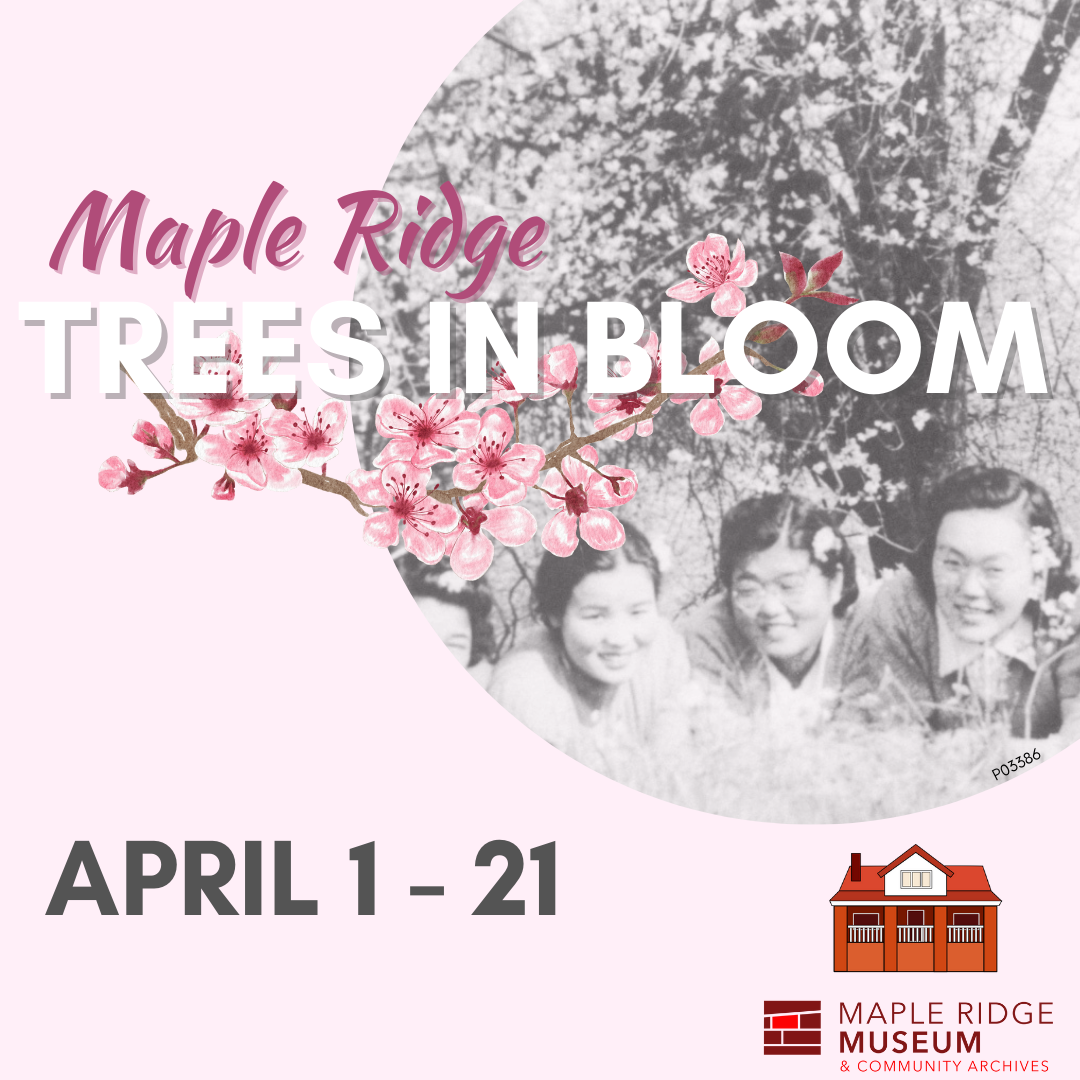 Trees in Bloom – Maple Ridge Museum